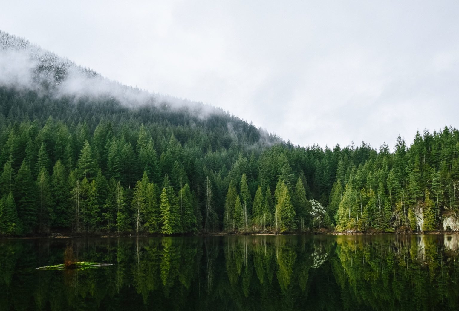 Vancouver, Canada is One of the Most Beautiful Cities on Earth ...