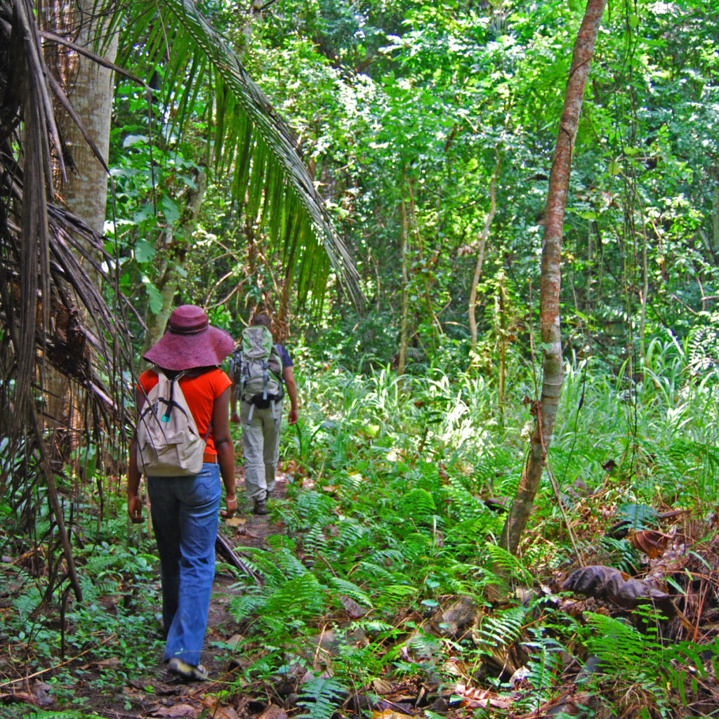 3 National Parks That Will Make You Fall in Love With Ivory Coast's ...