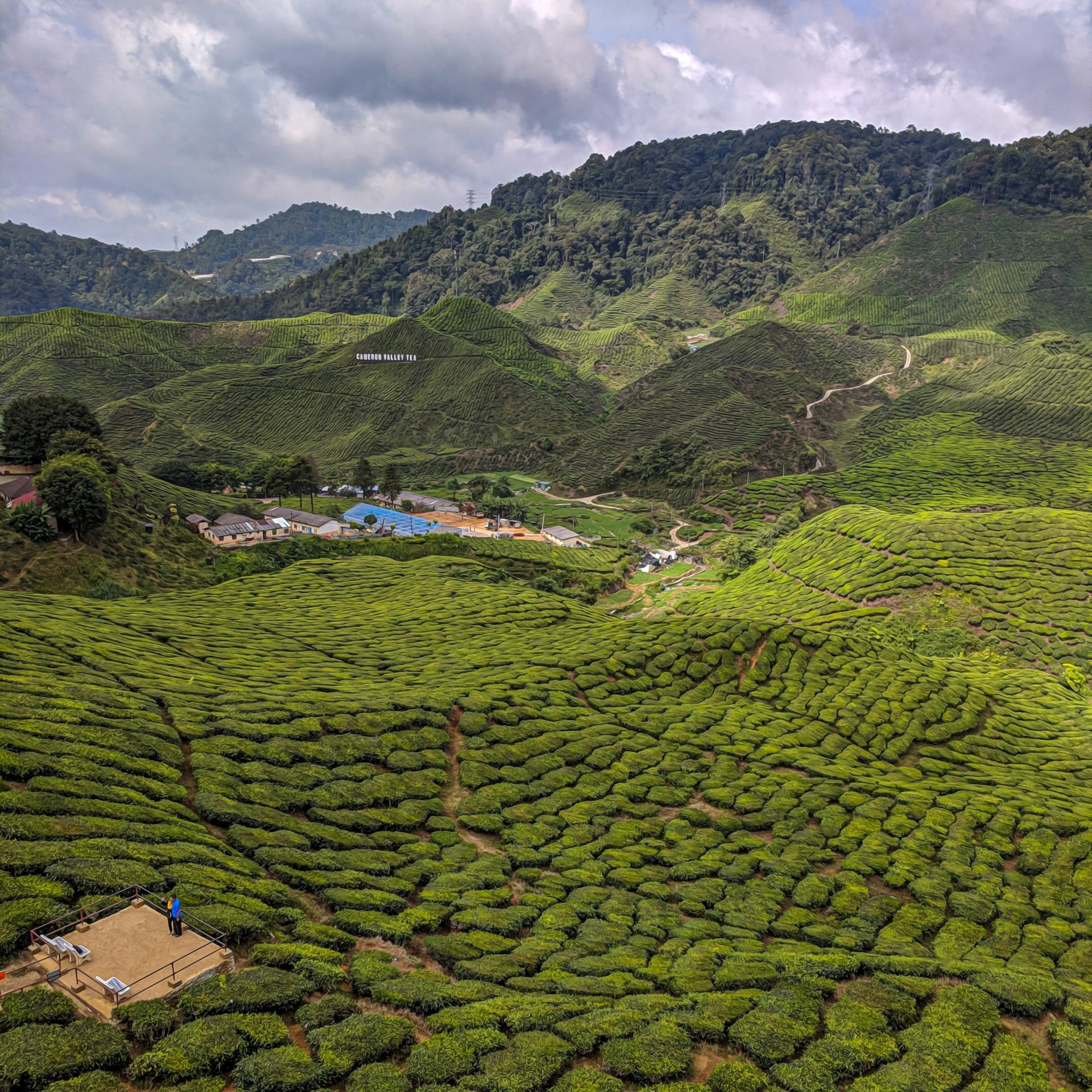 Cameron Highlands is Malaysia's Most Picture-Perfect Spot - Traveler Dreams