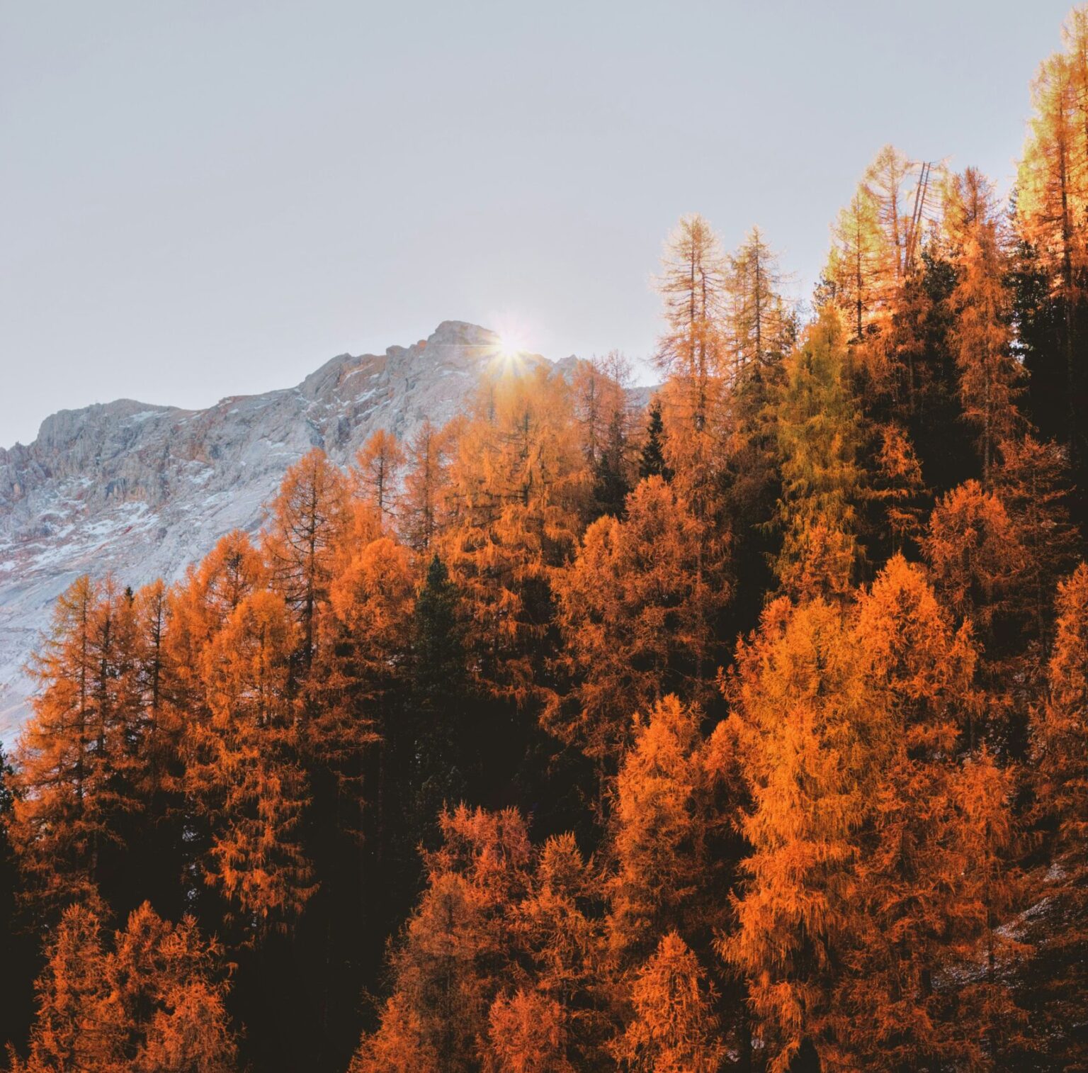 Best Tips for Planning a Perfect Trip During Fall - Traveler Dreams